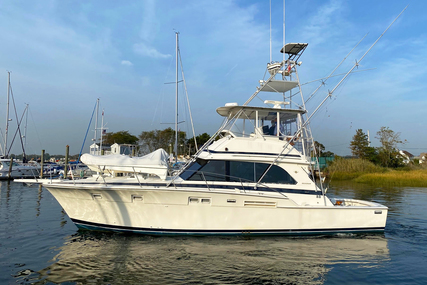 Bertram Yachts for Sale Online - New Used Motor Boat Sales