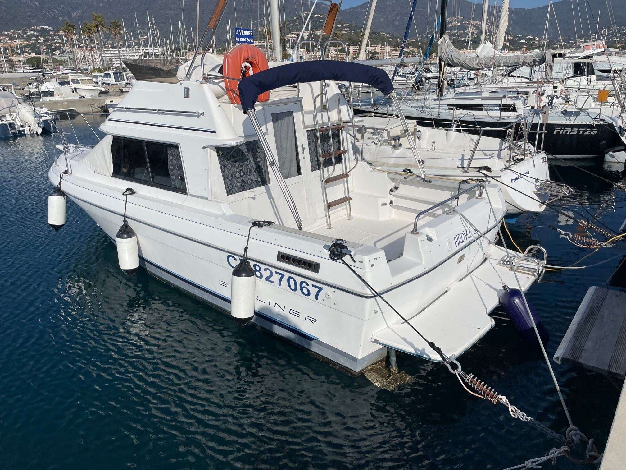 Bayliner 2556 Ciera Command Bridge for sale - Rightboat